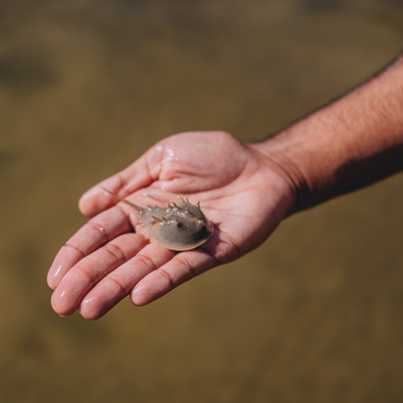 National Programs - A Rocha USA