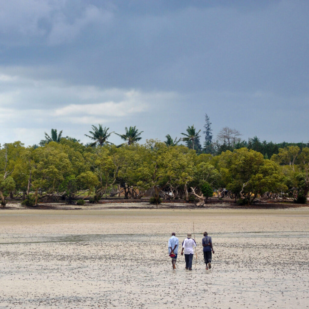 National Programs - A Rocha USA